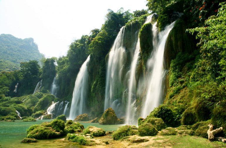 Ecotourism in Vietnam - Wonderful experience for nature lovers ...