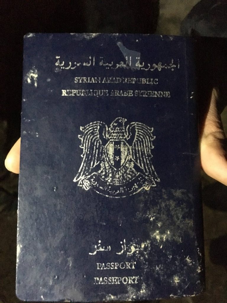 Vietnam Digital Visa for Syrian Citizens 2025: A Convenient and Hassle ...